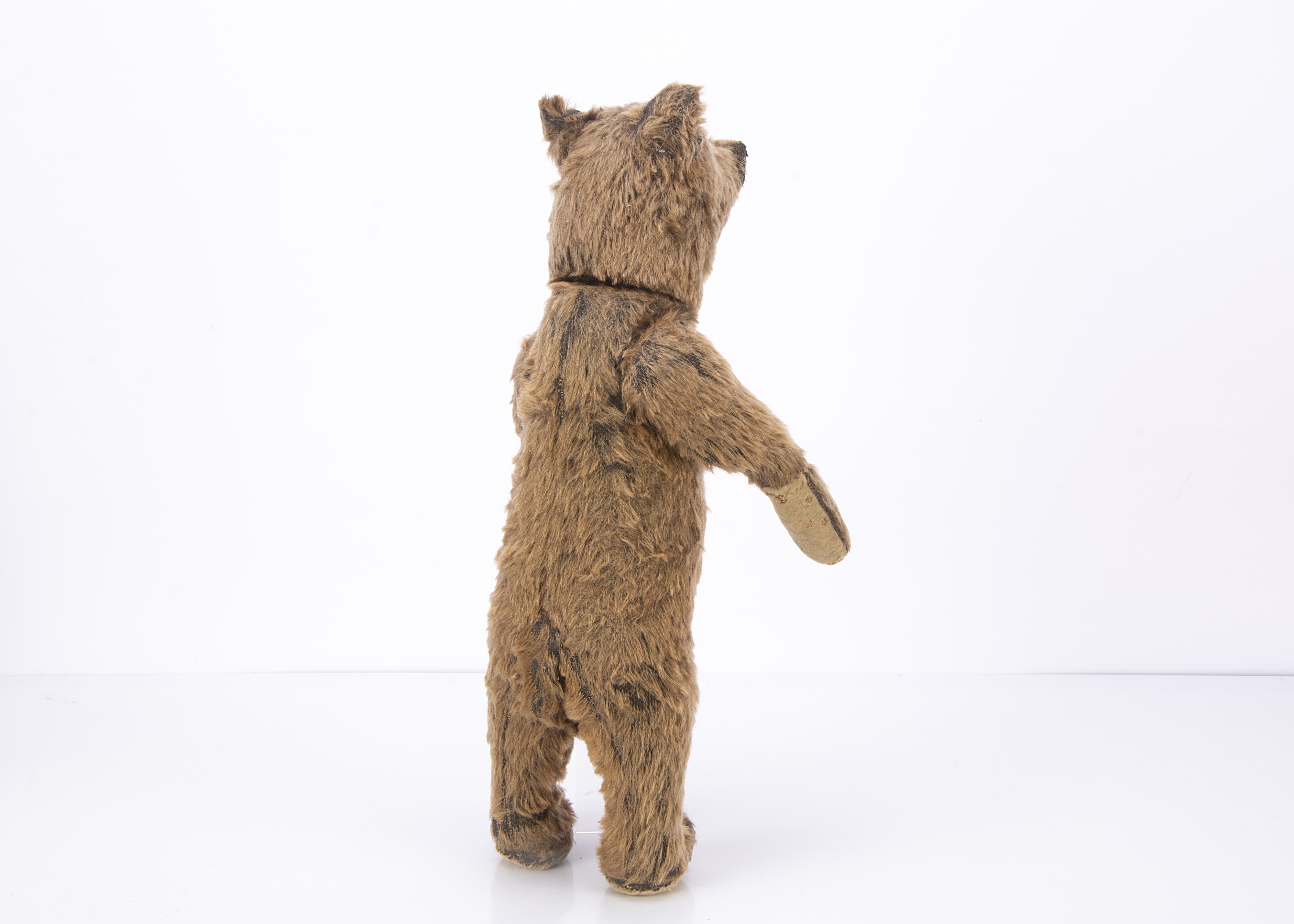Lot 335 - A rare and unusual early German bear