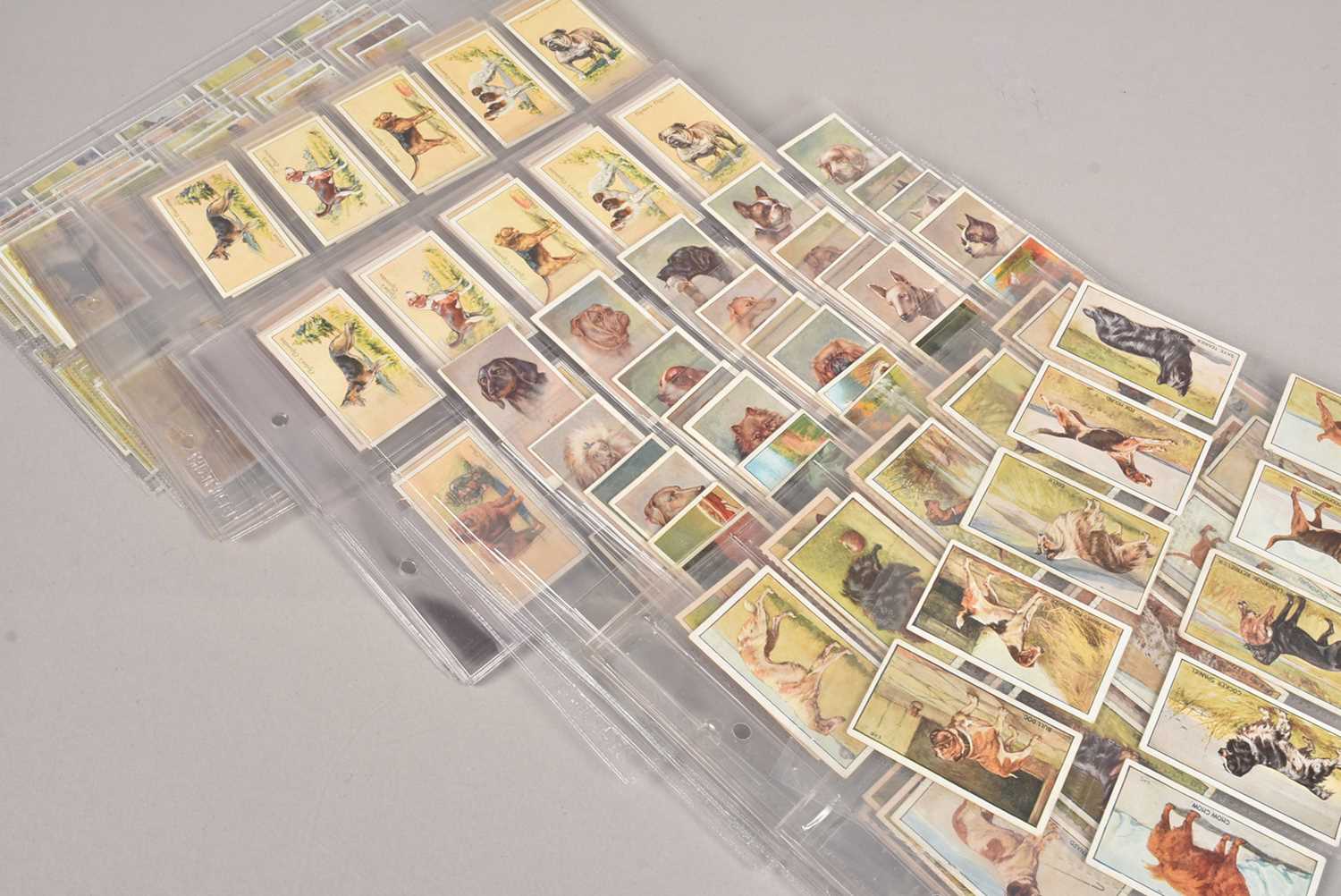 Lot 234 - Dog Themed Cigarette Card Sets,