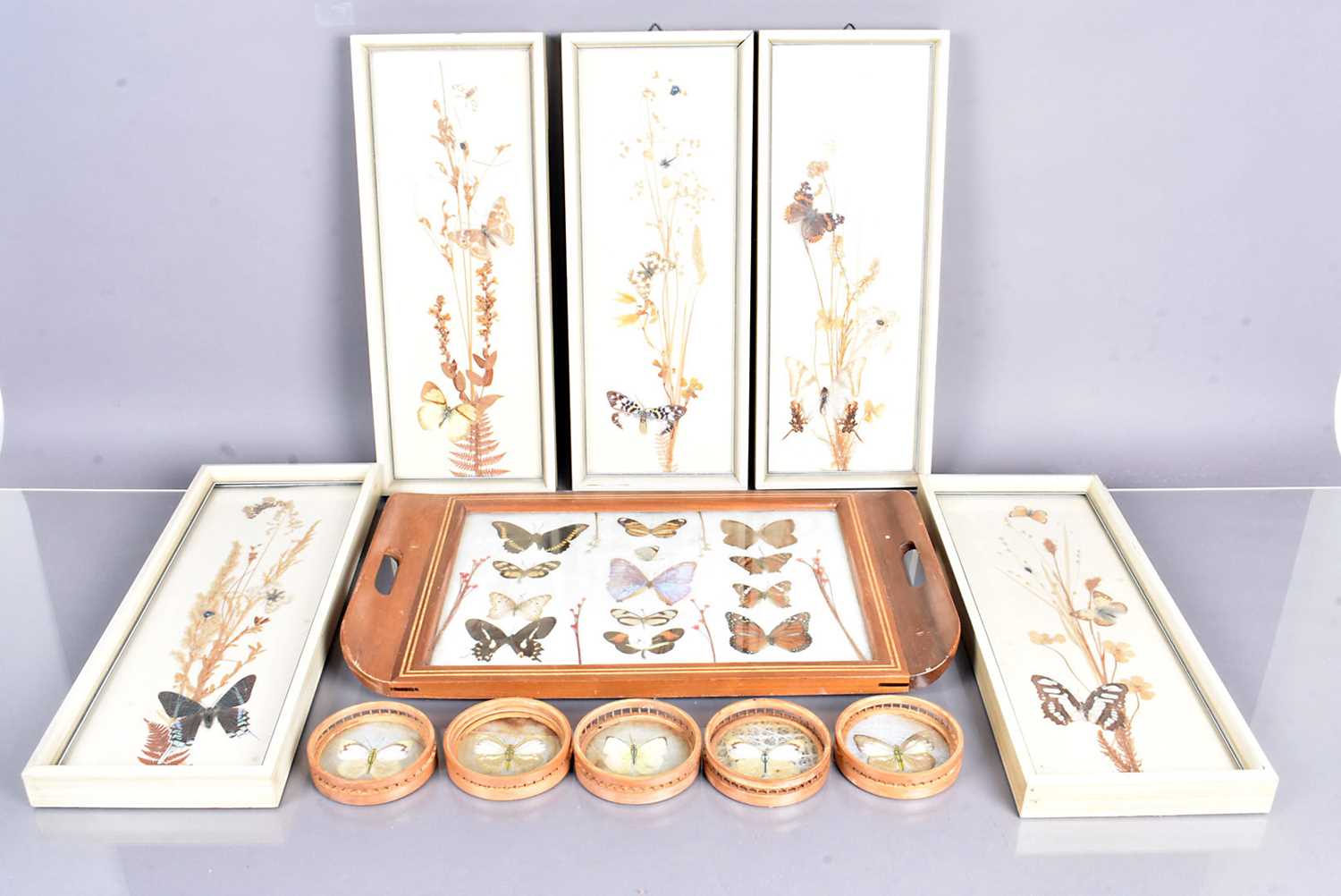Lot 393 - Five glazed butterfly displays,